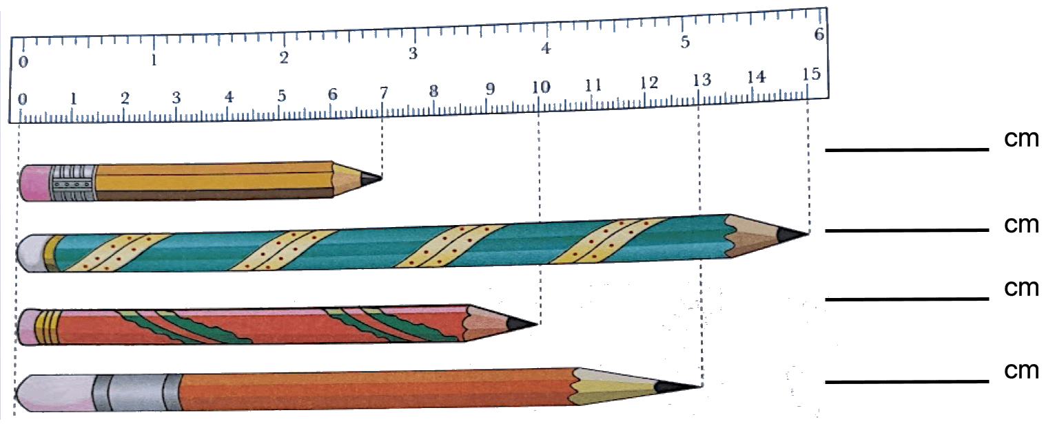 Measuring Length | Relationship between Meter & CM | Unit of Length