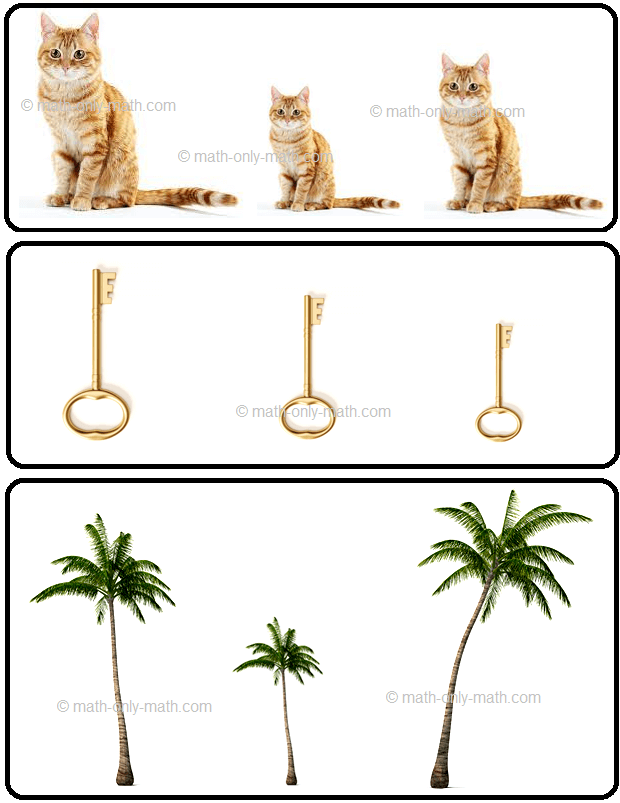 Solid Shapes | Basic Geometric Shapes | Common Solid Figures | Plane