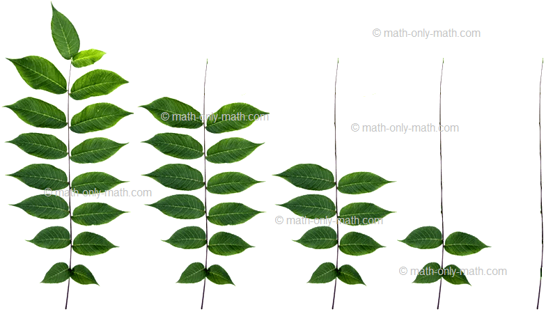 Growing Patterns | Growing Number, Shape, Alphabet Patterns | Reducing