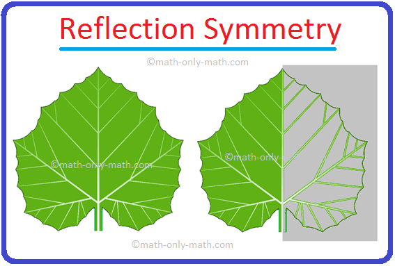Reflection Symmetry | Reflection of the Image| Mirror Line|Symmetrical
